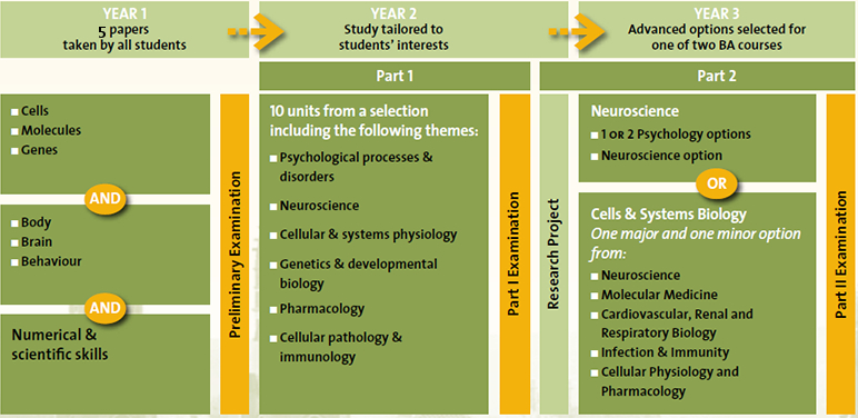 About the Course — University of Oxford, Medical Sciences Division